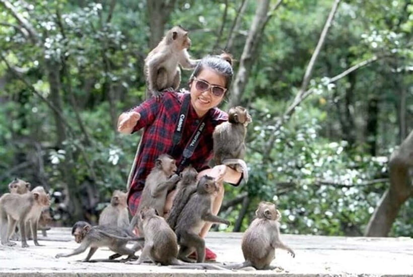 From Ho Chi Minh: Can Gio Monkey Island & Mangrove Tour - The Itinerary — What You Can Expect