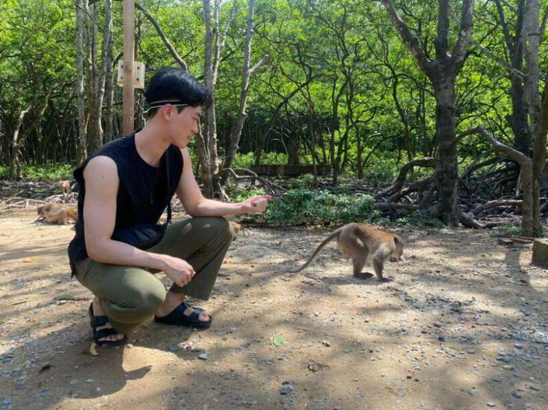 From Ho Chi Minh City: 1-day tour Can Gio Monkey Island - Optional Swimming and Beachtime