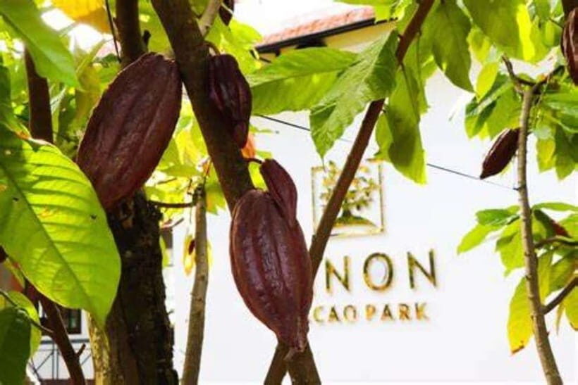 From Ho Chi Minh City: 2 Days Nature & Chocolate in Ho Tram - Detailed Breakdown of the Itinerary