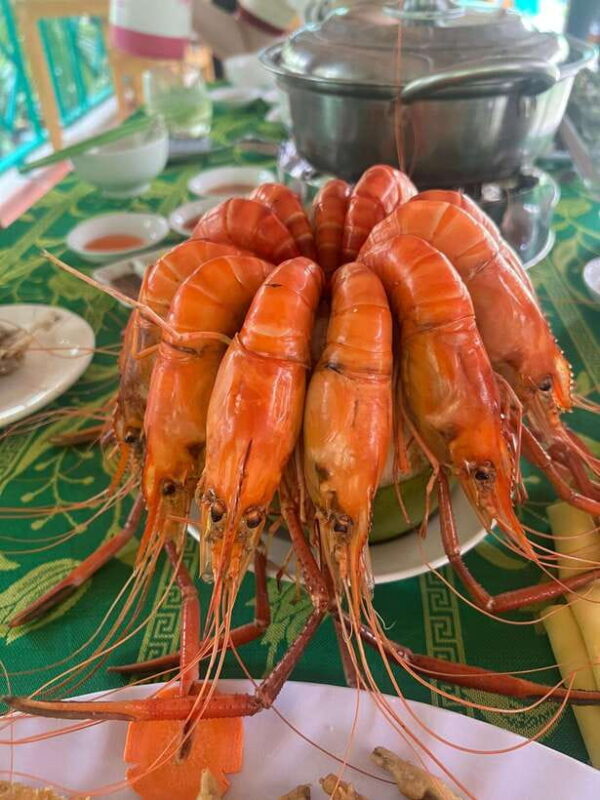 From Ho Chi Minh City: Ben Tre - The Coconut Land with Lunch - Who Is This Tour Best For?