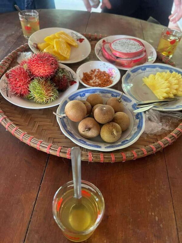 From Ho Chi Minh City: Ben Tre - The Coconut Land with Lunch - Final Thoughts