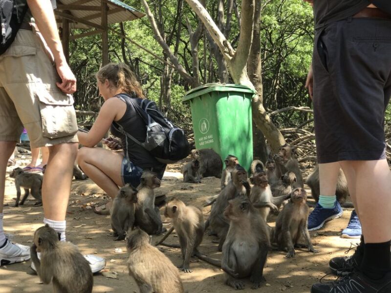 From Ho Chi Minh City: Can Gio Mangrove Guided Forest Tour - Authentic Experiences and Insights from Reviews