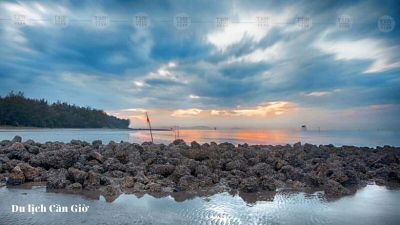 From Ho Chi Minh City: Can Gio Monkey Island Day Trip - Expectations and Authentic Encounters