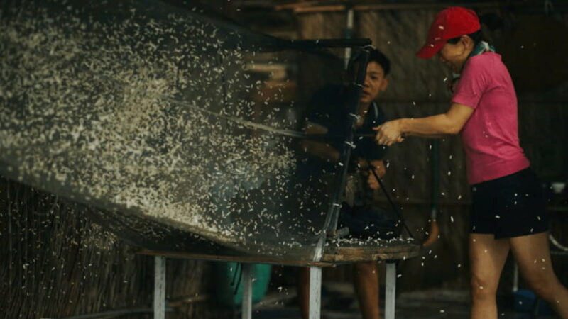 From Ho Chi Minh City: Less tourist 2D tour Ben Tre-Can Tho - Final Thoughts