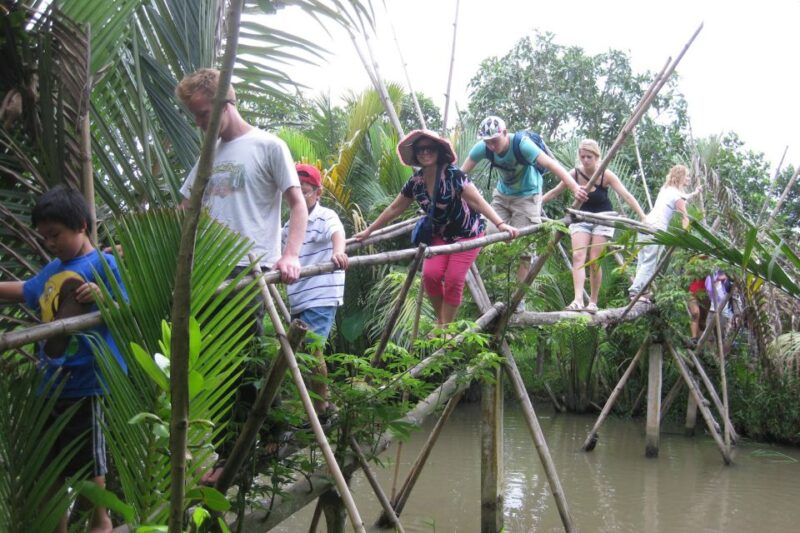 From Ho Chi Minh City: Mekong Delta VIP Tour by Limousine - Transportation and Comfort