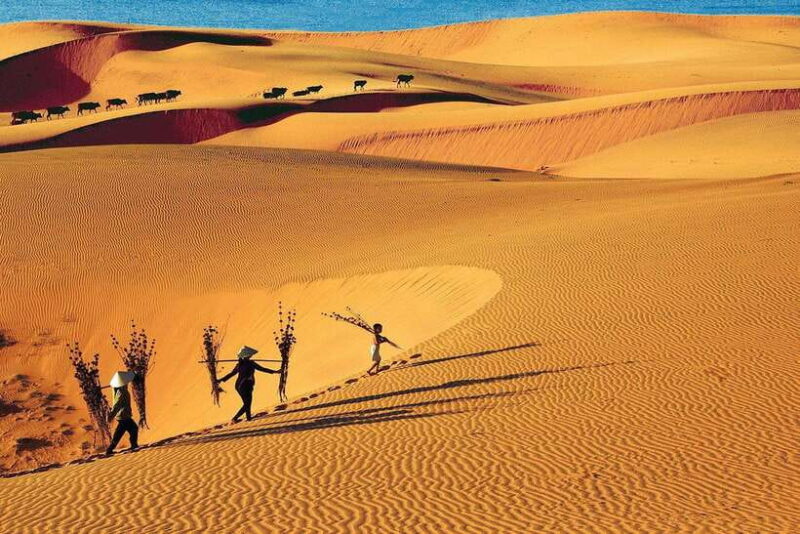 From Ho Chi Minh City: Mui Ne White Sand Dunes Day Trip - The Authentic Experience: Why Choose This Tour?