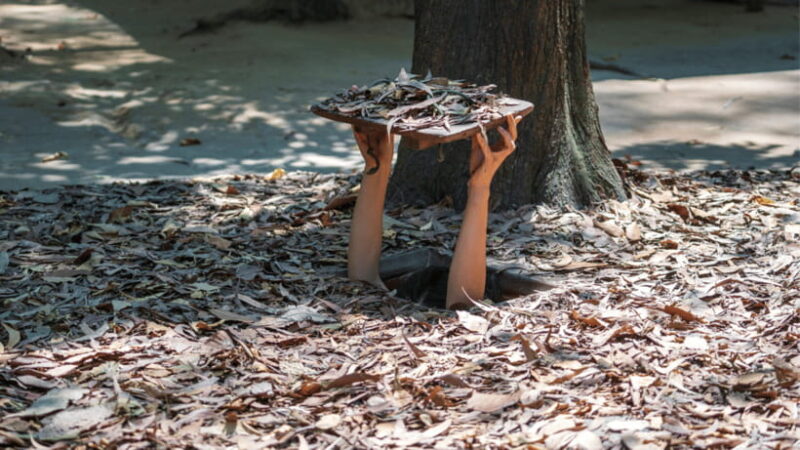 From Ho Chi Minh: Cu Chi Tunnels and Mekong Delta 3-Day Tour - Who Should Take This Tour?