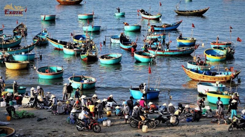 From Ho Chi Minh: Group Tour Mui Ne Beach 1 day - Final Thoughts