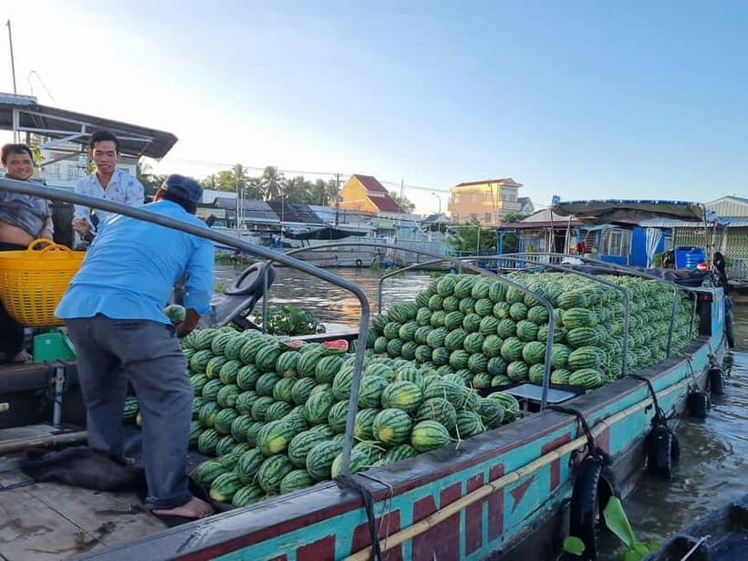 From Ho Chi Minh: Mekong & Cai Rang Floating Market 2D1N - Who Should Consider This Tour?