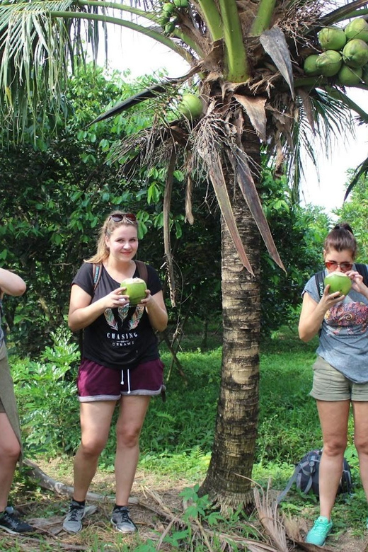 From Ho Chi Minh: Mekong Delta 2 days group or private - Transportation and Timing: Why It Matters