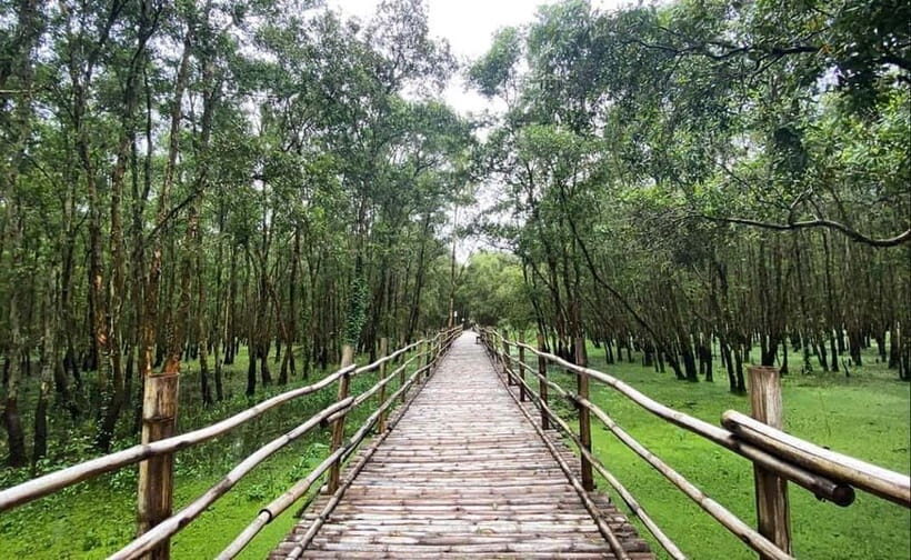 From Ho Chi Minh: Mekong Delta 3-Day Tour with Tra Su Forest - A Detailed Look at the 3-Day Mekong Delta Tour