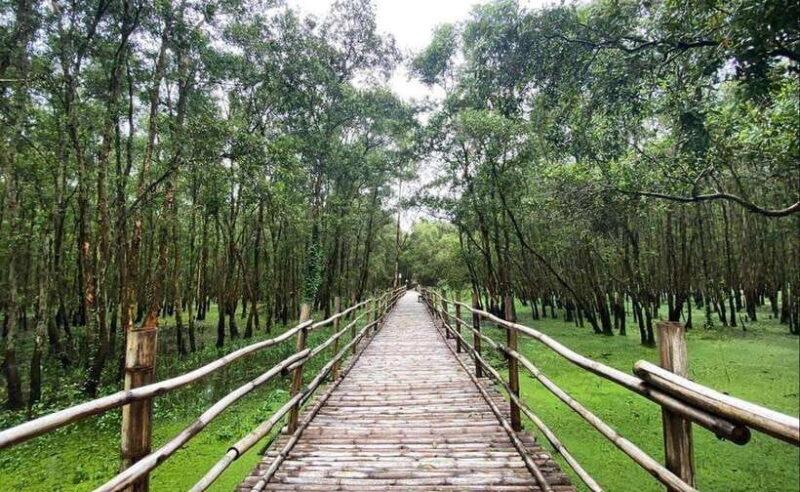 From Ho Chi Minh: Mekong Delta 3-Day Tour with Tra Su Forest - Key Points