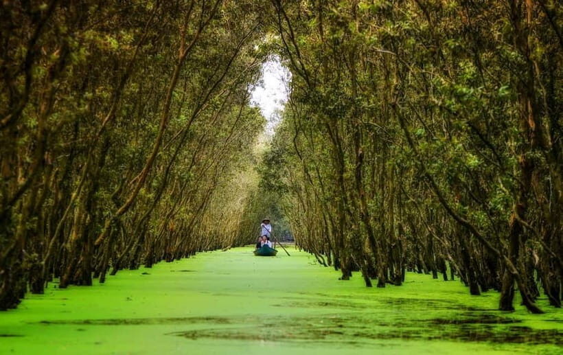 From Ho Chi Minh: Mekong Delta 3-day w Tra Su Forest - Who This Tour Is Best For