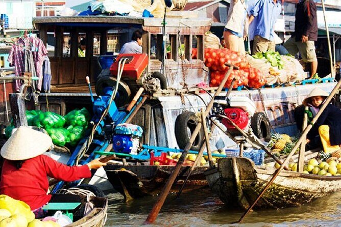 From Ho Chi Minh: Mekong Delta and Cai Rang Market 2-Day Trip - Why This Tour Offers Great Value