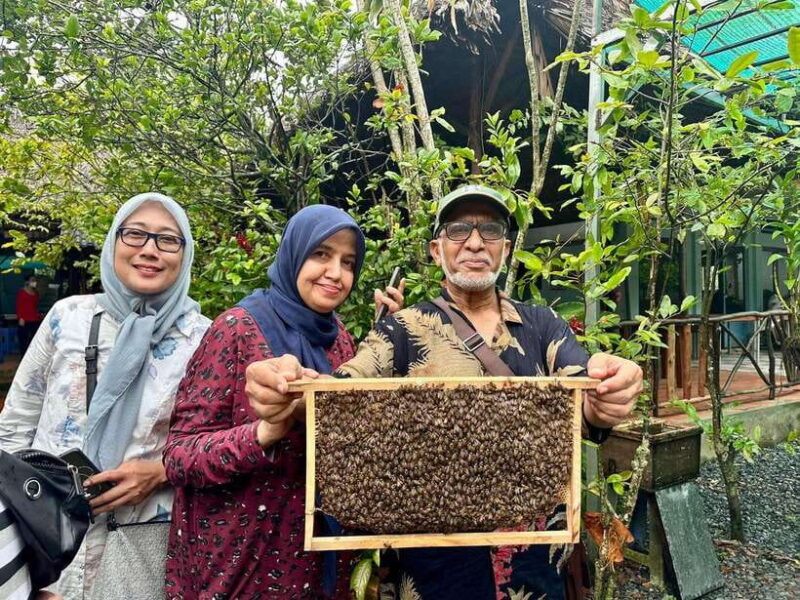 From Ho Chi Minh: Mekong Delta Ben Tre Day Tour by Boat - Key Points