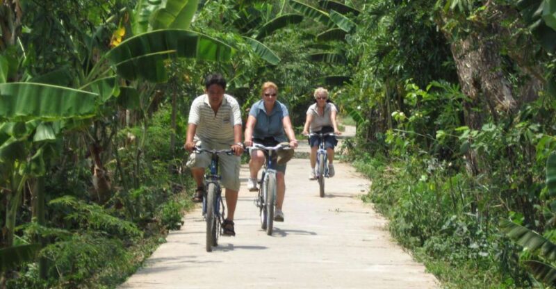 From Ho Chi Minh: Mekong Delta, My Tho & Ben Tre Day Trip - Who Is This Tour Best For?