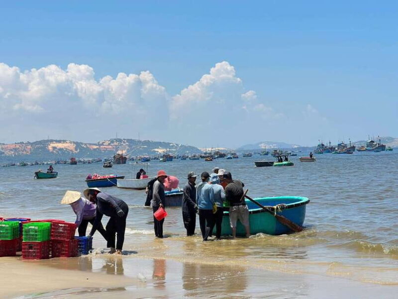 From Ho Chi Minh: Mui Ne and Phan Thiet Day Trip - What’s Included and What to Expect