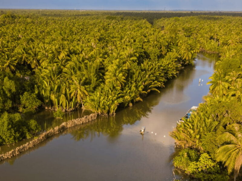From Ho Chi Minh: My Tho Ben Tre Mekong with Lunch - What to Expect and What You Might Miss