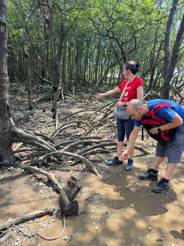 From Ho Chi Minh: Trek Can Gio Mangrove, Monkey Island - The Itinerary Breakdown: What You Can Expect