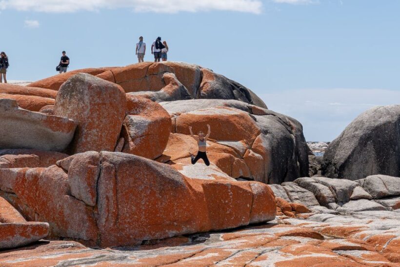 From Hobart: 5-Day Tasmania West & East Coast Tour - An Introduction to the Tour