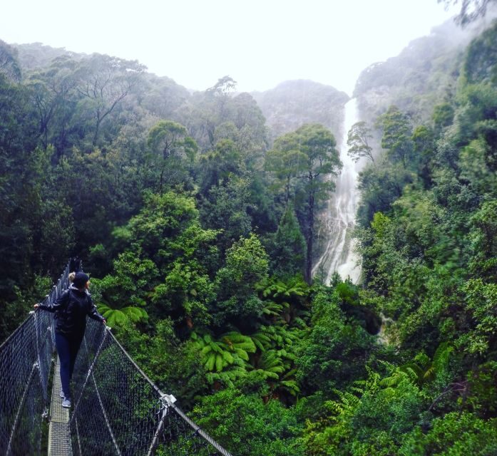 From Hobart: 5-Day Tasmania West & East Coast Tour - The Experience of the Guides