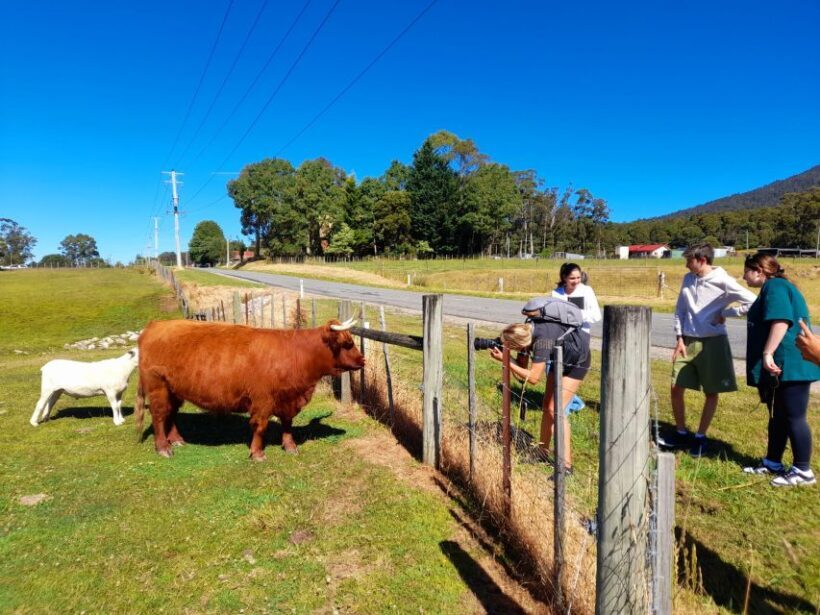 From Hobart: Active Day Trip to Cradle Mountain - The Return Journey and Dinner
