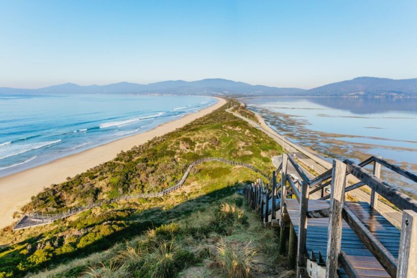 From Hobart/Adventure Bay: Bruny Island Wilderness Cruise - Authentic Experiences and Real Reviews
