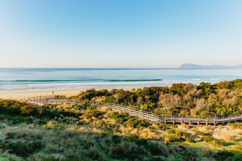 From Hobart/Adventure Bay: Bruny Island Wilderness Cruise - The Sum Up