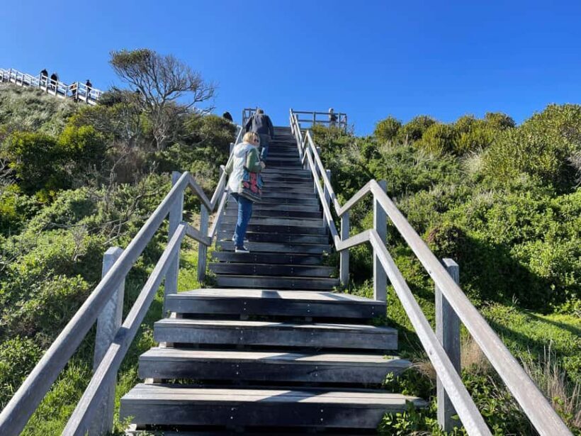 From Hobart: Bruny Island Nature & Produce Adventure Tour - Key Points