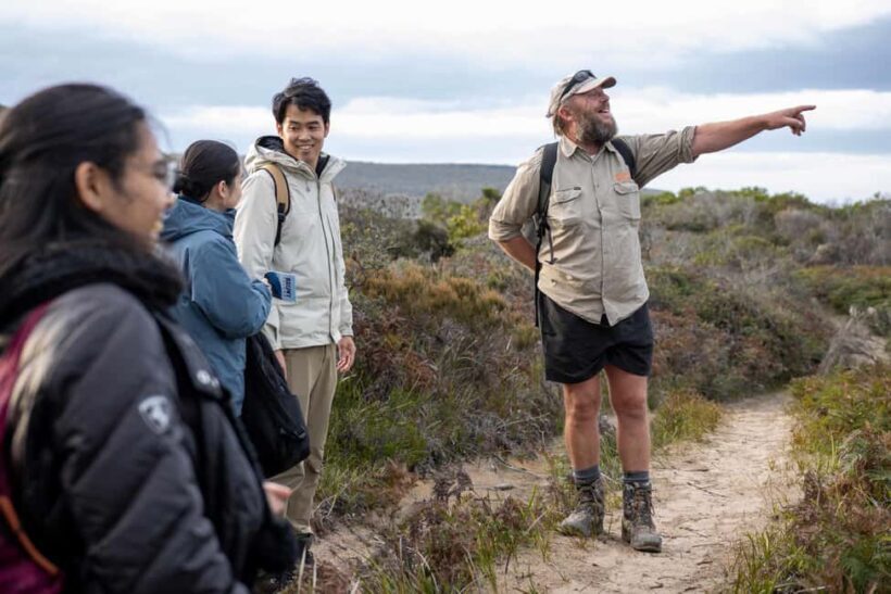From Hobart: Bruny Island Nature & Produce Adventure Tour - An Authentic Day on Bruny Island: What to Expect
