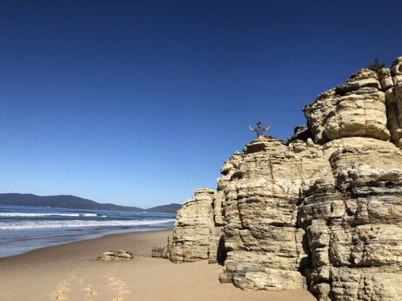 From Hobart: Bruny Island Nature & Produce Adventure Tour - Who Will Love This Tour?
