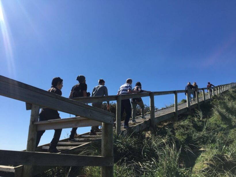 From Hobart: Full-Day Bruny Island Tour with Guide - What Travelers Are Saying