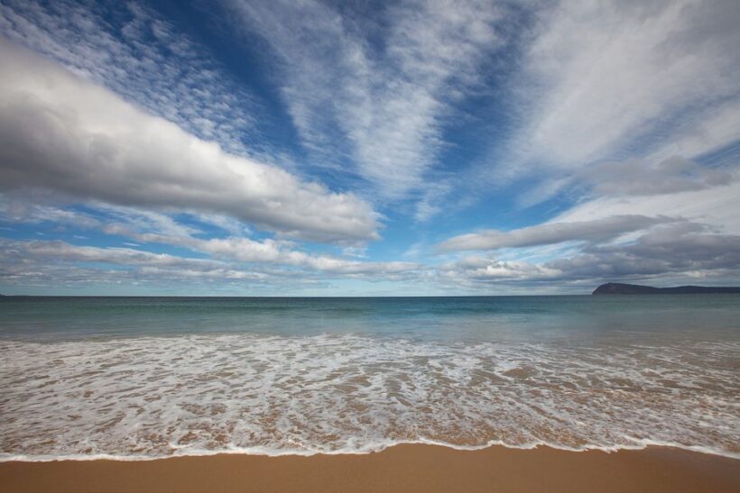 From Hobart: Full-Day Bruny Island Tour with Guide - The Transport and Logistics