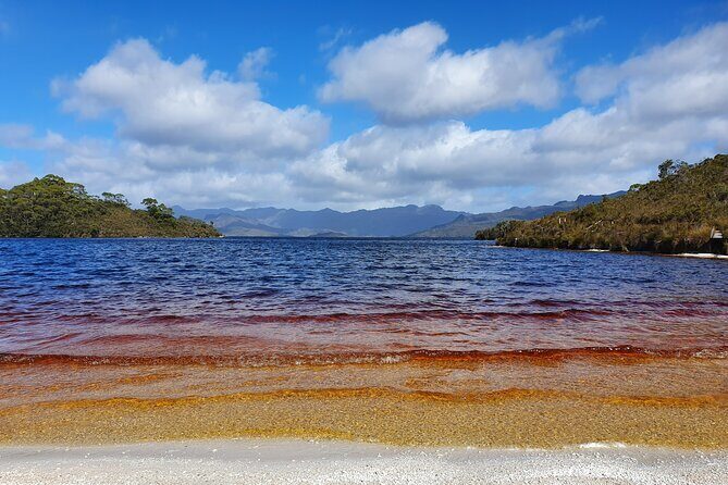 From Hobart: Gordon Dam and Lake Pedder Wilderness Day Tour - The Itinerary: A Closer Look