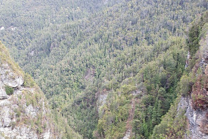 From Hobart: Gordon Dam and Lake Pedder Wilderness Day Tour - Practical Details