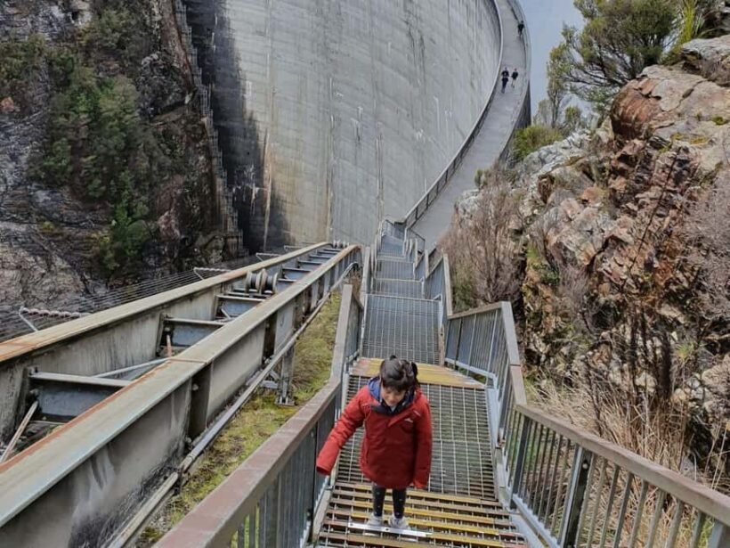 From Hobart: Gordon Dam and Lake Pedder Wilderness Day Tour - A Deep Dive into the Itinerary