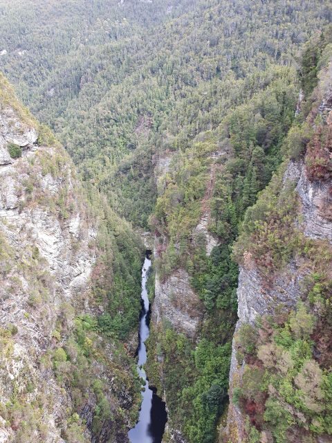 From Hobart: Gordon Dam and Lake Pedder Wilderness Day Tour - The Sum Up: Why This Tour Is Worth Considering