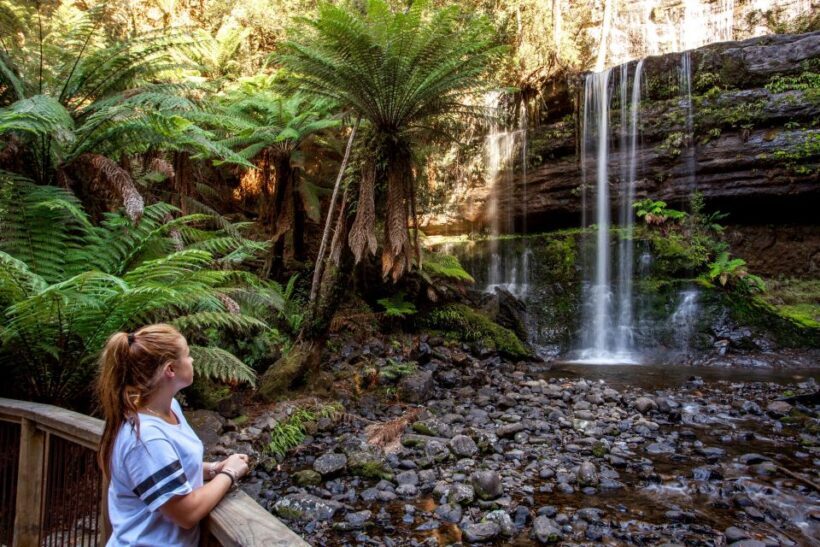 From Hobart: Mt. Field, Mt. Wellington and Wildlife Day Tour - Authentic Experiences and What Travelers Say