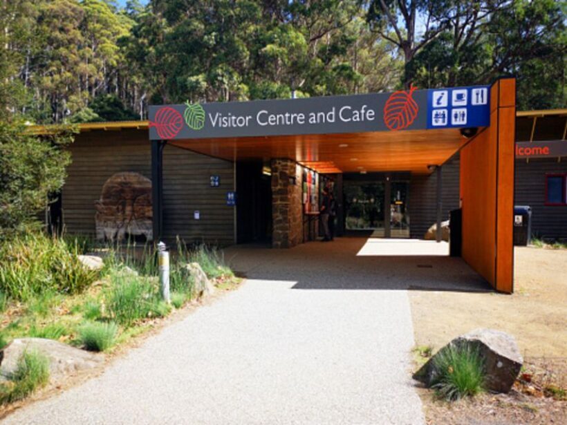 From Hobart: Mt. Field National Park and Russell Falls - The Itinerary in Detail