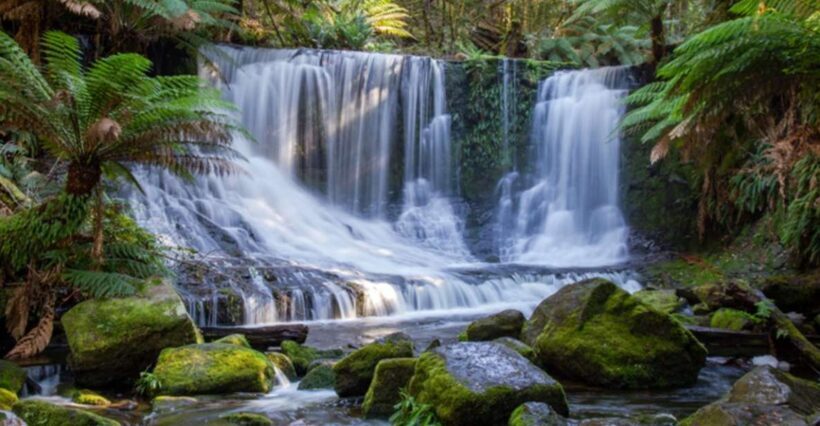 From Hobart: Mt. Field National Park and Russell Falls - Final Thought: Who Is This Tour Best For?