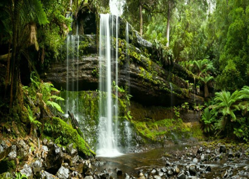From Hobart: Mt. Field National Park and Russell Falls - FAQ