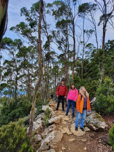 From Hobart: Mt Wellington Morning Walking Tour - A Closer Look at the Itinerary