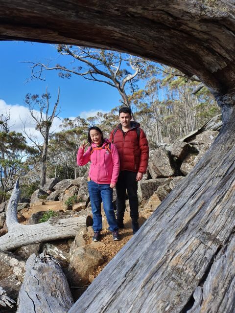 From Hobart: Mt Wellington Morning Walking Tour - FAQ