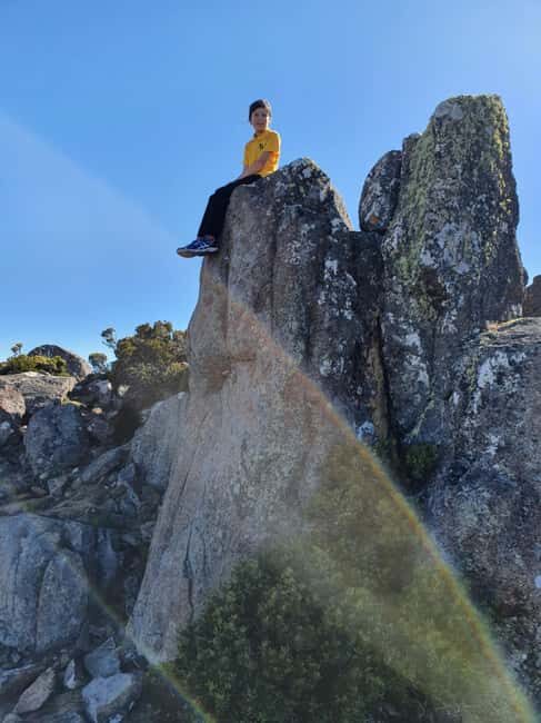 From Hobart: Mt Wellington Pinnacle 2 Hour Small Group Tour - Who Should Consider This Tour?