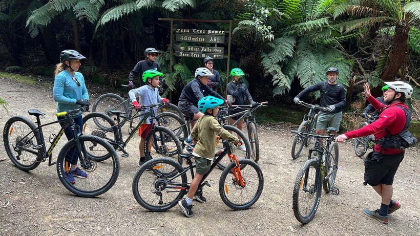 From Hobart: Mt Wellington Summit & Rainforest Bike Tour - What Travelers Say