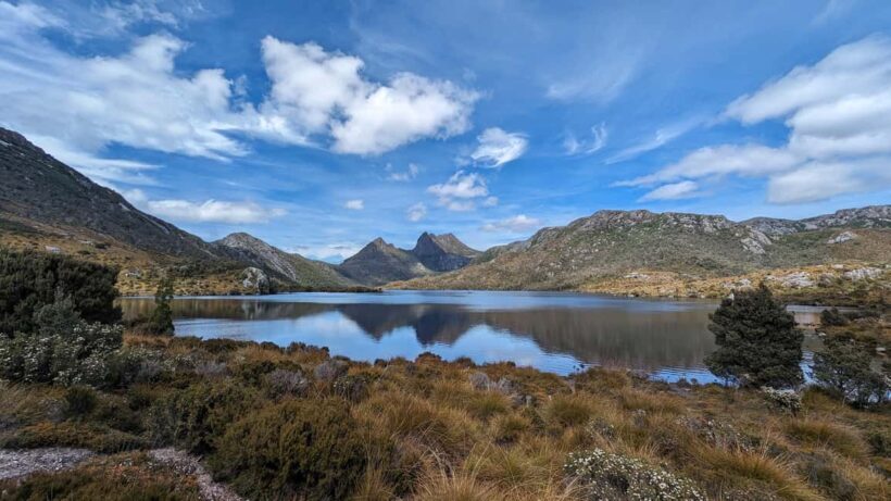 From Hobart: The Ultimate 10-Day Tour of Tasmania's Regions - What to Expect in Terms of Activity Level