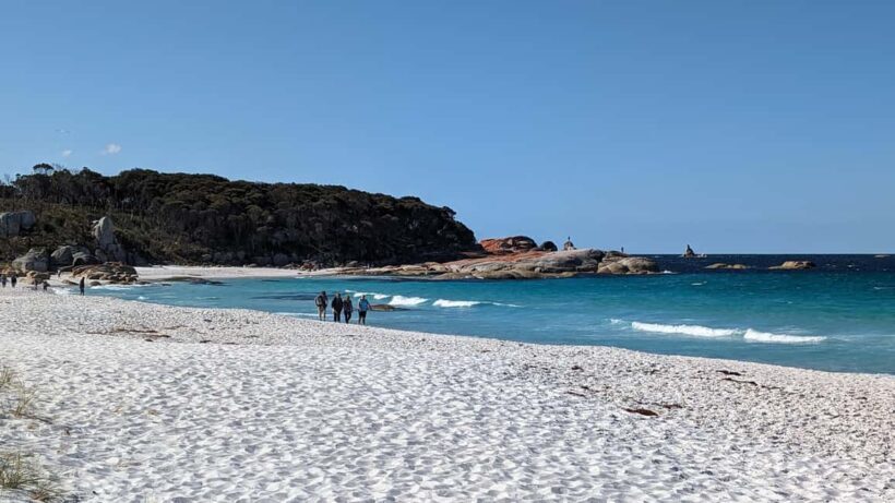 From Hobart: The Ultimate 10-Day Tour of Tasmania's Regions - The Value: Is It Worth the Price?