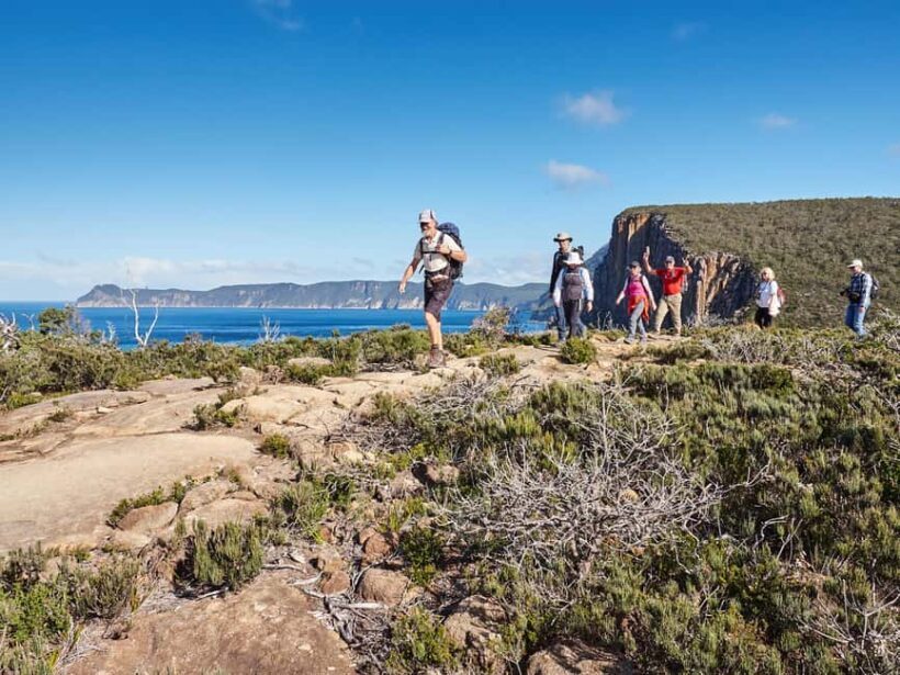 From Hobart: Three Capes Walking Tour - 4 Days - Who Would Love This Tour?