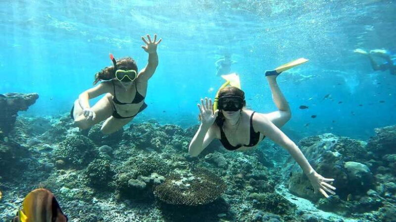 From Hoi An: Cu Lao Cham Day Trip with Seafood Lunch - Final Thoughts: Who Will Love This Tour?