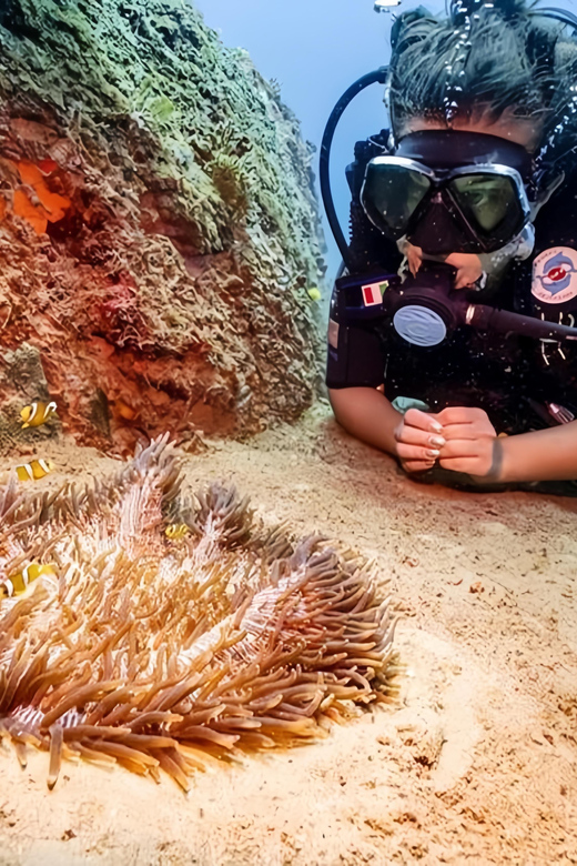 From Hoi An/ Da Nang: Swimming & Snorkeling In Cham Islands - The Journey to Cham Island